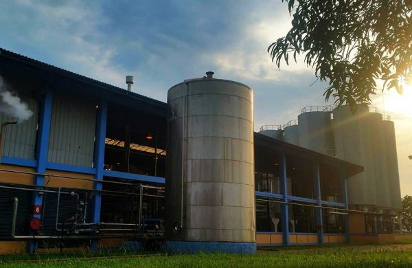 FÁBRICAS | GRUPO CASTEL ANGOLA